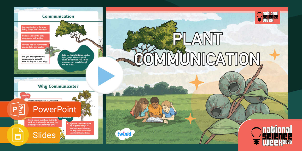 Plant Communication PowerPoint (teacher made) - Twinkl