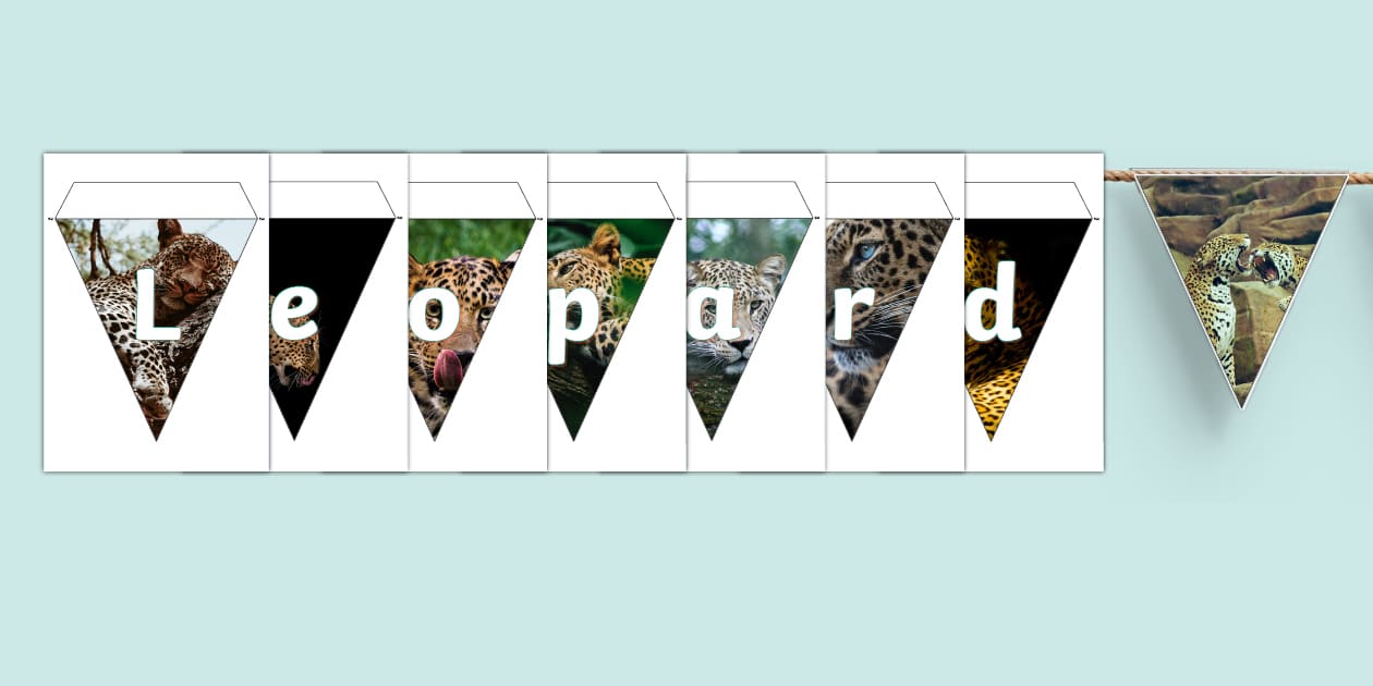 Leopard Photo Display Bunting - Twinkl Displays