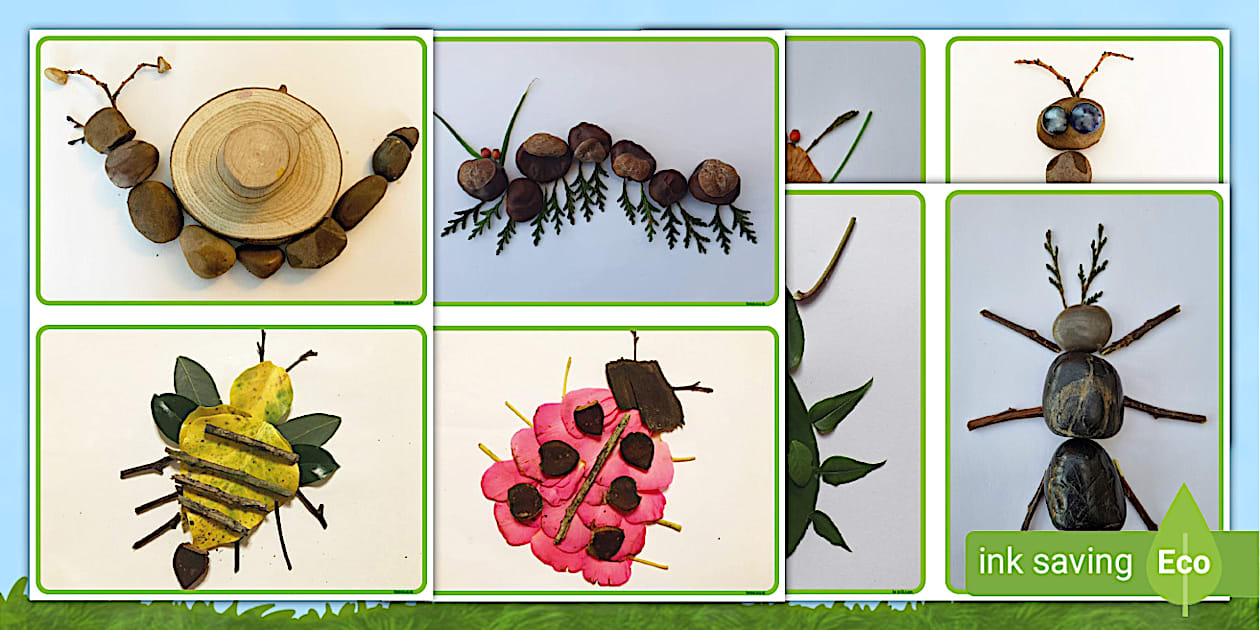 Natural Minibeast Art Photo Pack (teacher made) - Twinkl