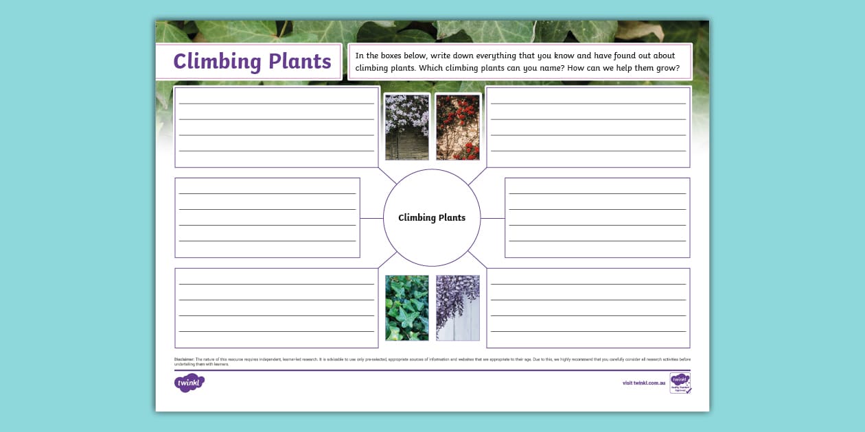 Climbing Plants Mind Map - Twinkl Australia - Twinkl