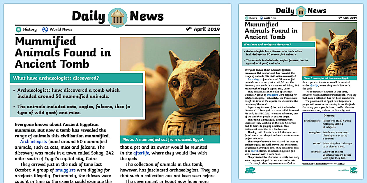 Mummified Animals | Twinkl Resources