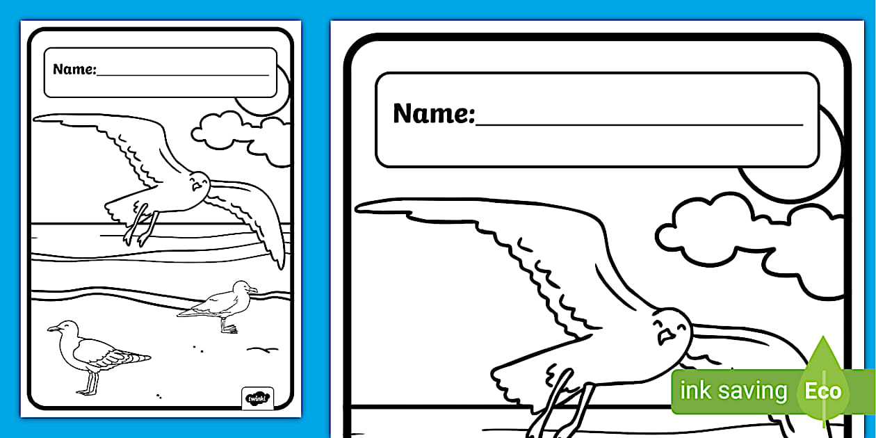 Seagull Colouring Book Cover (teacher made) - Twinkl