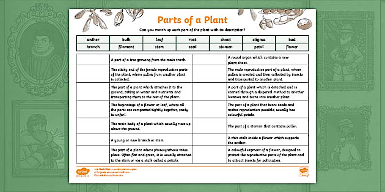 Editable Parts of a Plant KS2 Activity Sheet (teacher made)