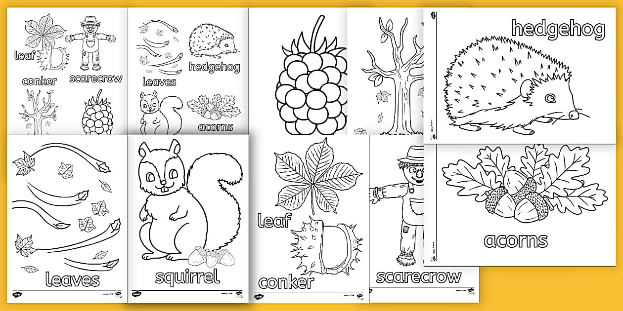 Autumn Pictures and Words Coloring Sheets- English - Twinkl