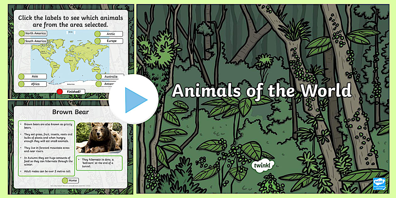 Animals Around The World KS2 PowerPoint | Learning Resource