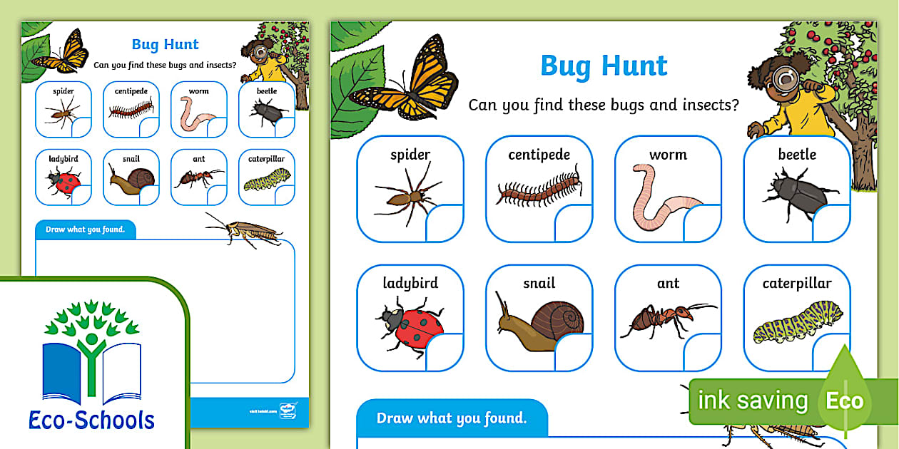FREE! - Eco-Schools NI: KS1 Bug Hunt (teacher made) - Twinkl