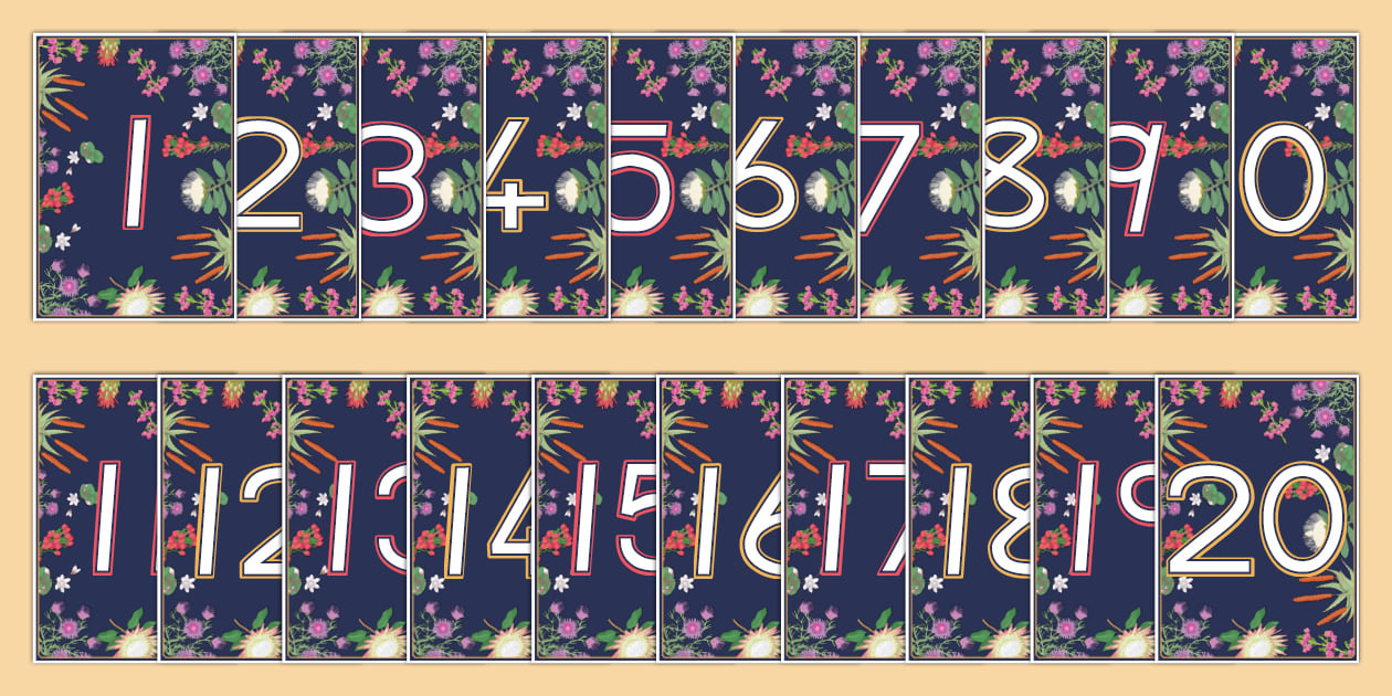 Fynbos-Themed Numbers 1-20 Display Posters - Twinkl
