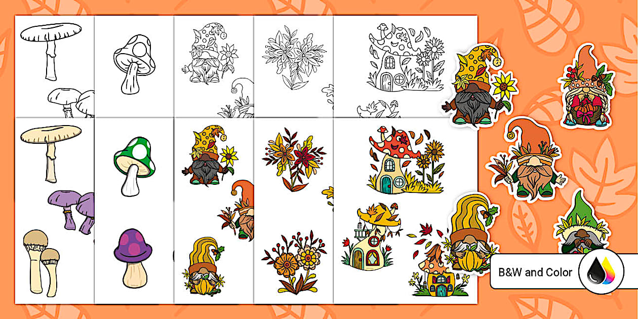 Fall Gnomes Bulletin Board Cutouts (teacher made) - Twinkl