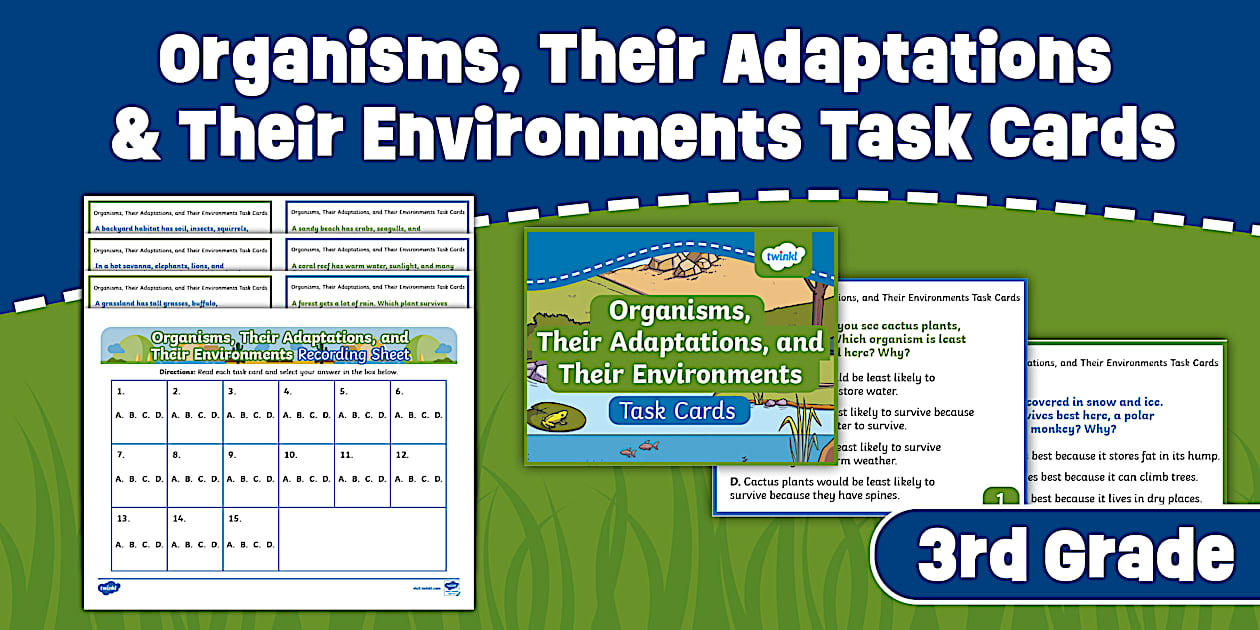 Organisms, Their Adaptations, & Environments Task Cards