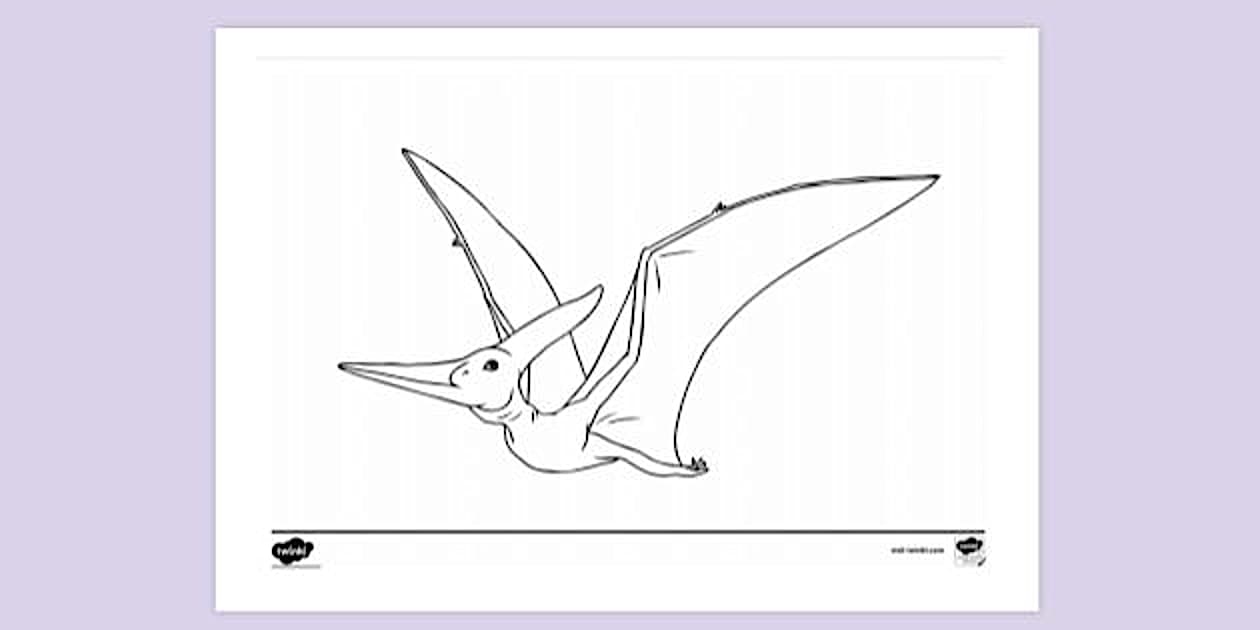 Pteranodon Colouring Sheet (teacher made) - Twinkl