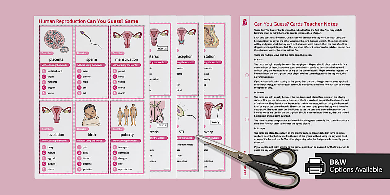Human Reproductive System Game (teacher made) - Twinkl