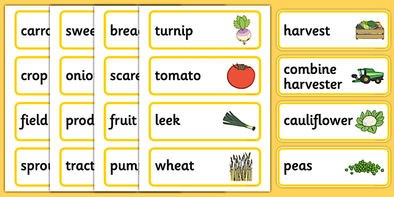 Harvest Pre-Teaching Word Cards (teacher made) - Twinkl