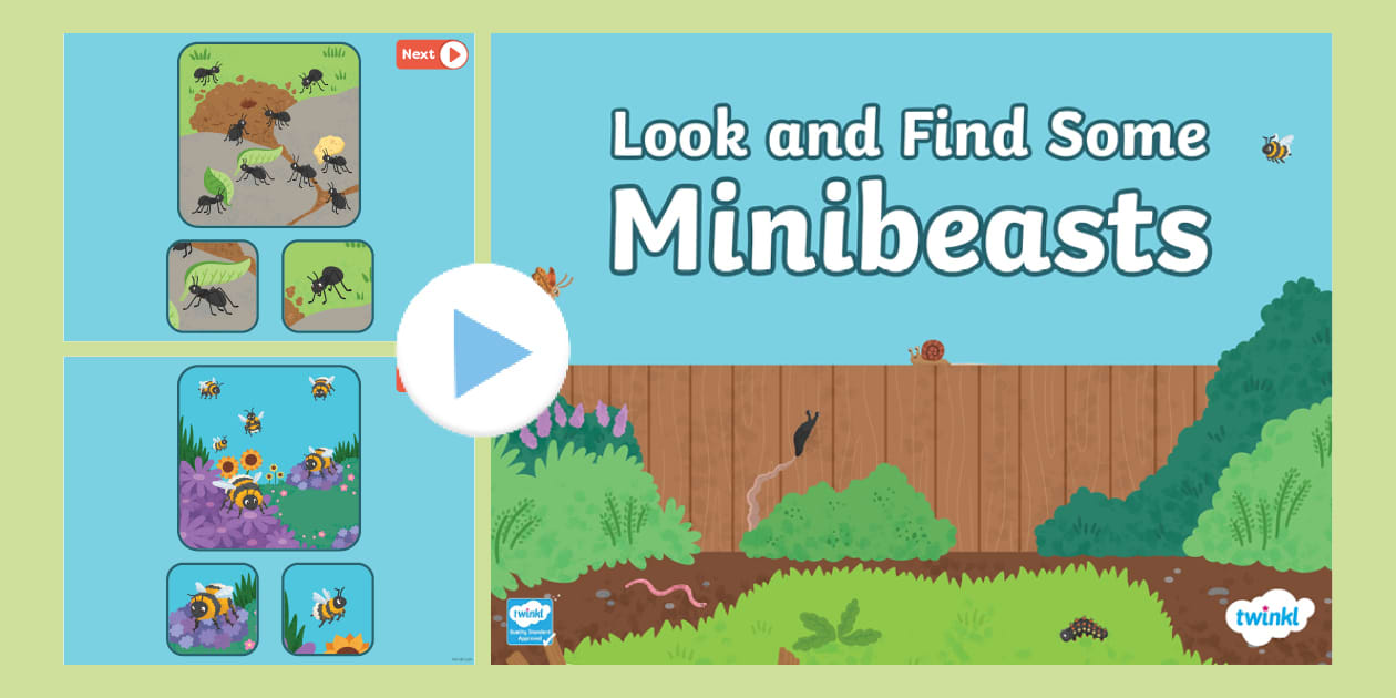Look and Find Minibeasts PowerPoint (teacher made) - Twinkl
