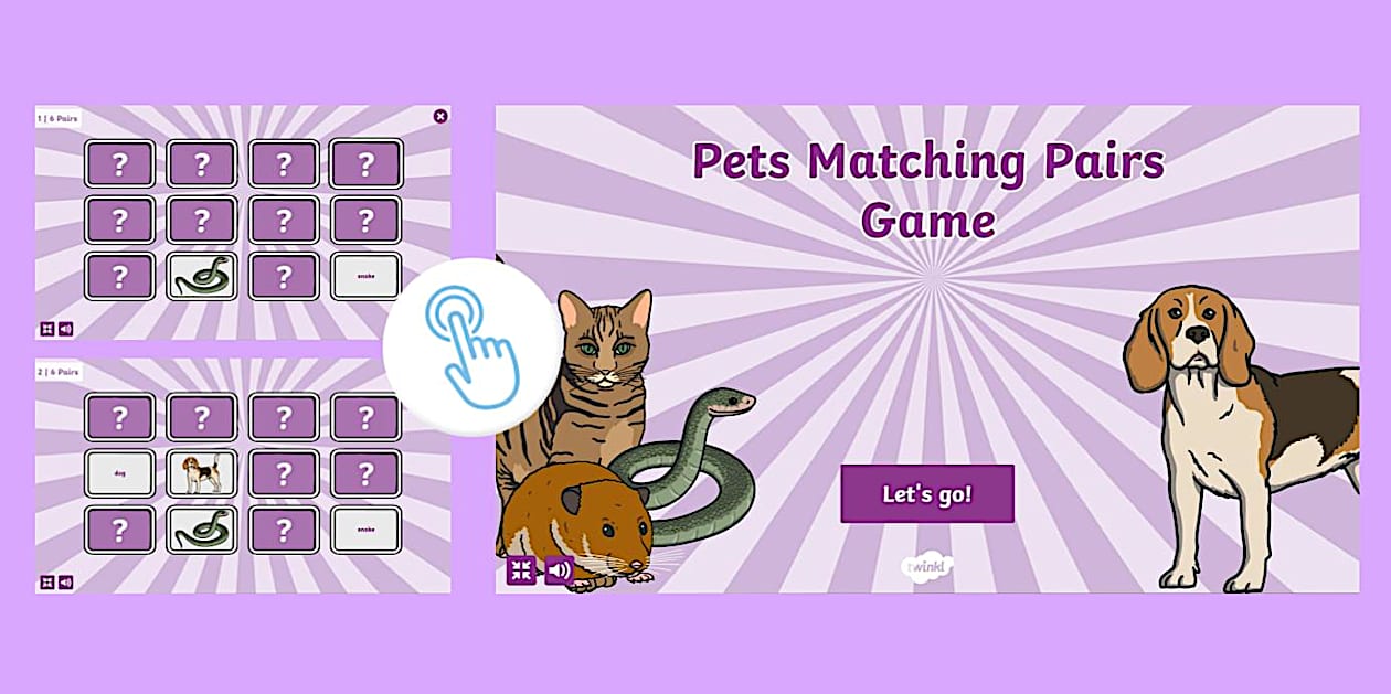 Pets Matching Pairs Game - Twinkl - KS1 (teacher made)