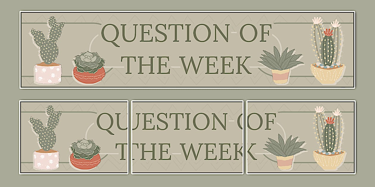 Succulents-Themed Question of the Week Display Banner