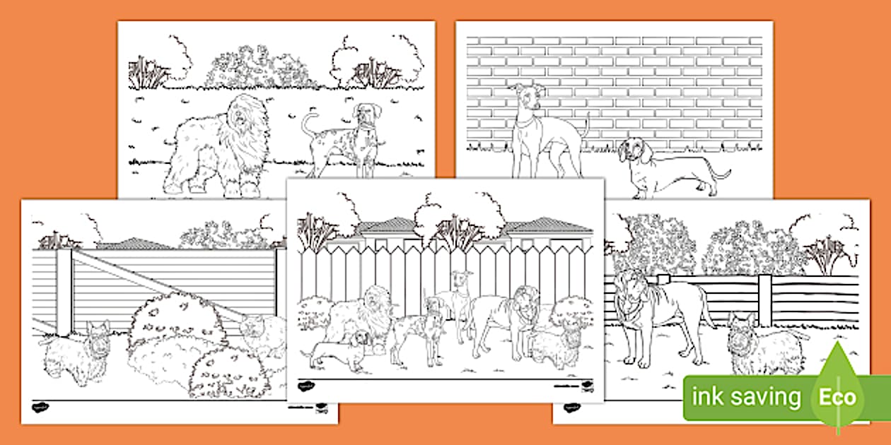 Hairy Maclary Colouring Pages for Kids