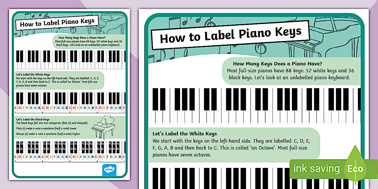 Piano Keys Labelled Poster | CfE Resources | Twinkl - Twinkl
