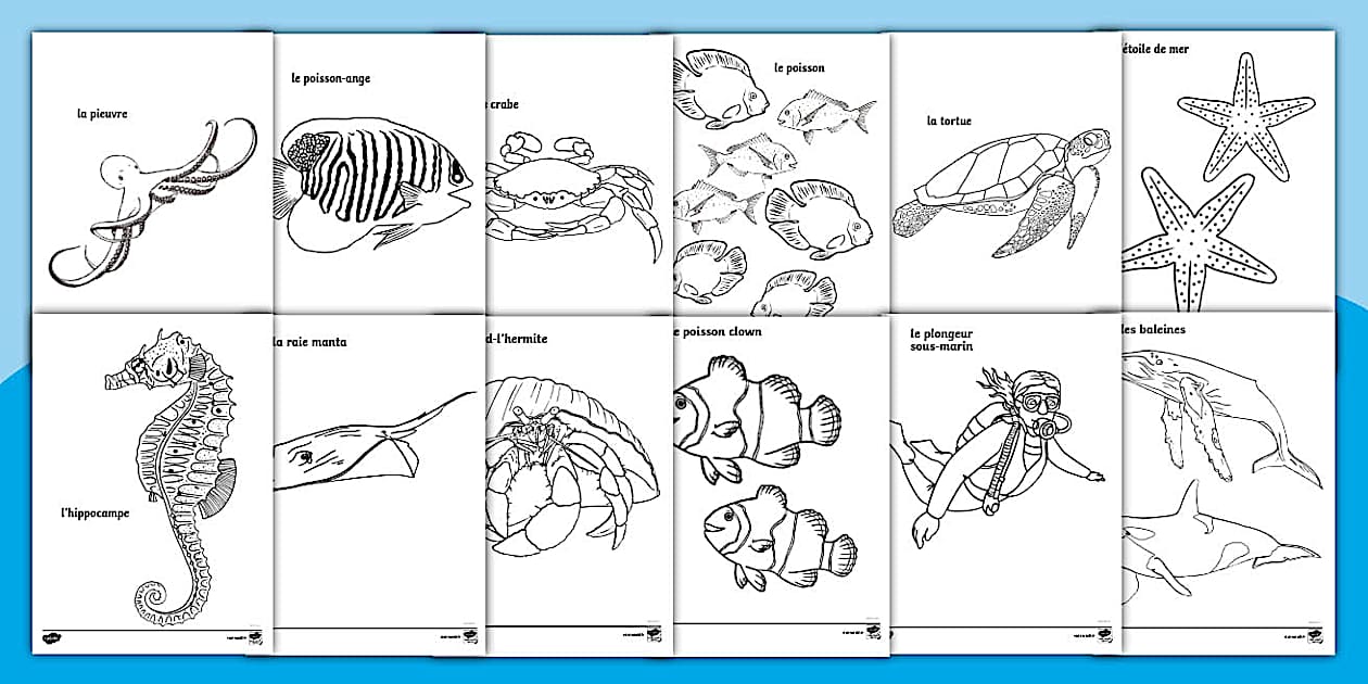 Feuille de coloriage avec mots : sous la mer (teacher made)