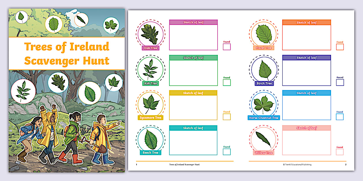 Trees of Ireland Scavenger Hunt. (teacher made) - Twinkl