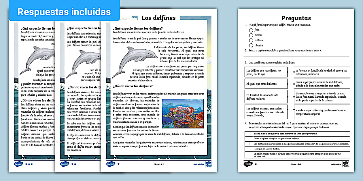 Comprensión lectora por niveles: Los delfines - Twinkl
