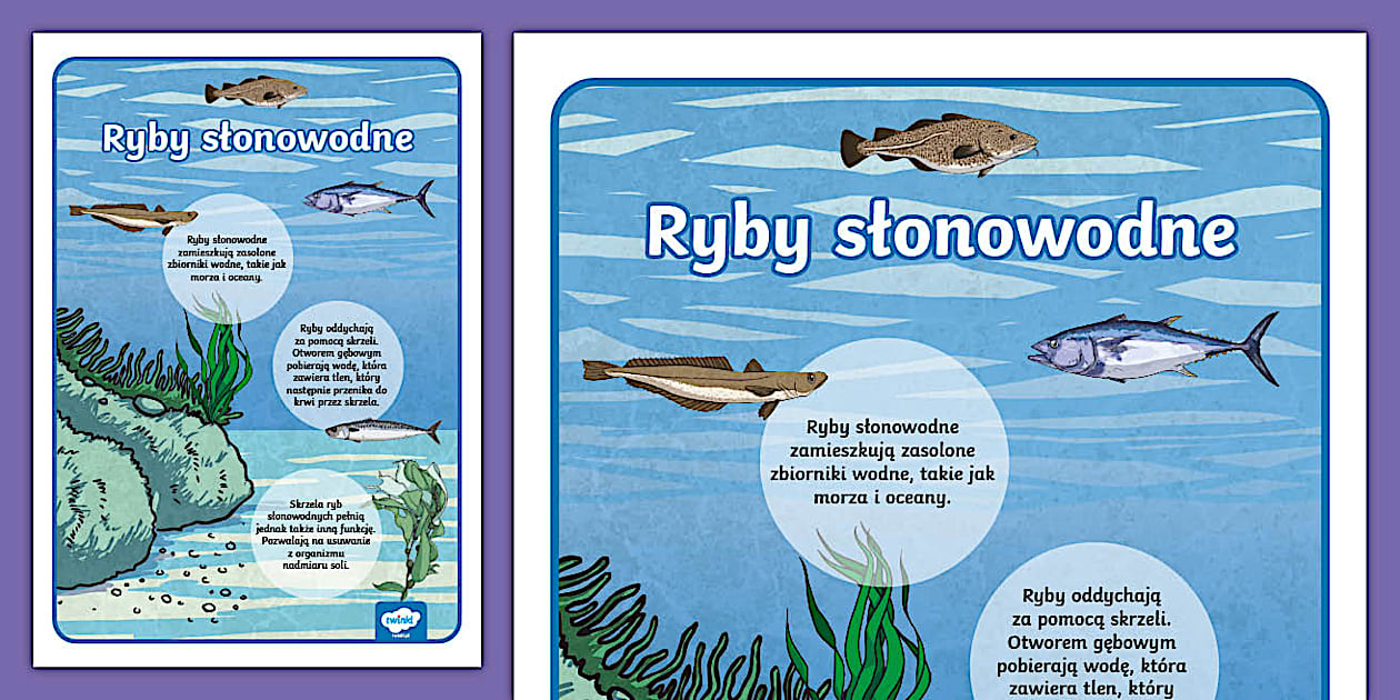 Ryby słonowodne | Przyroda | Plakat