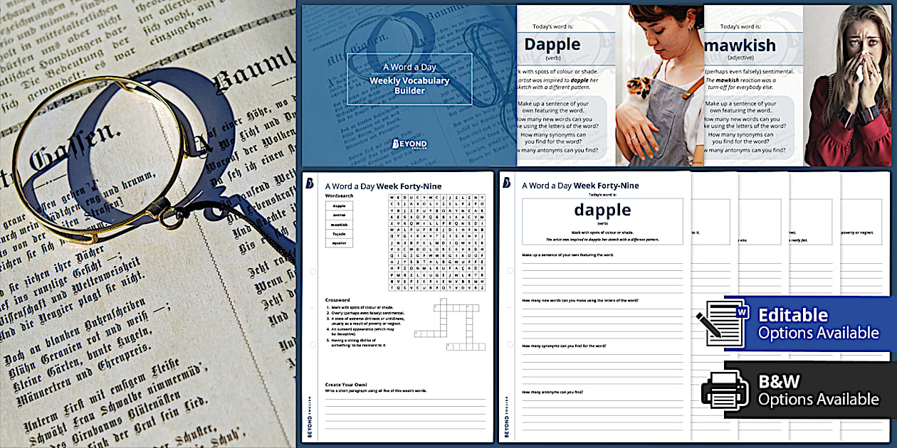 A Word a Day Activity Pack Week 49 (teacher made) - Twinkl