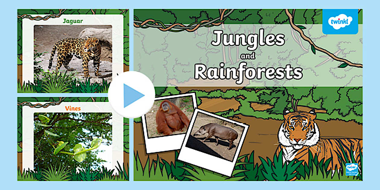 Jungle and Rainforest Photo PowerPoint | Rainforest Pictures