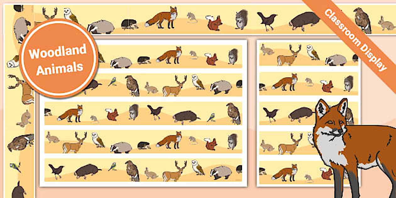 Woodland Animal Display Borders