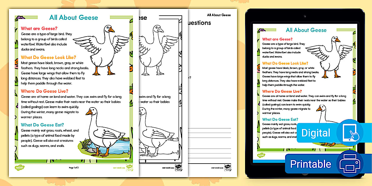 2nd Grade All About Geese Reading Comprehension Worksheet