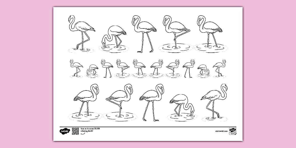 Flamingo Doodle Colouring Page (teacher made) - Twinkl