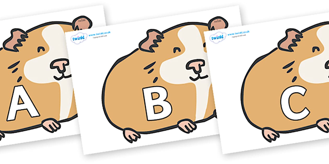 A-Z Alphabet on Guinea Pigs (teacher made) - Twinkl