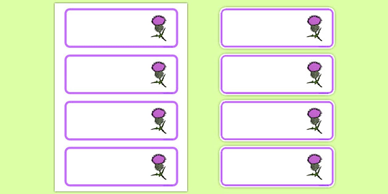 Thistle-Themed Editable Drawer Labels - Twinkl