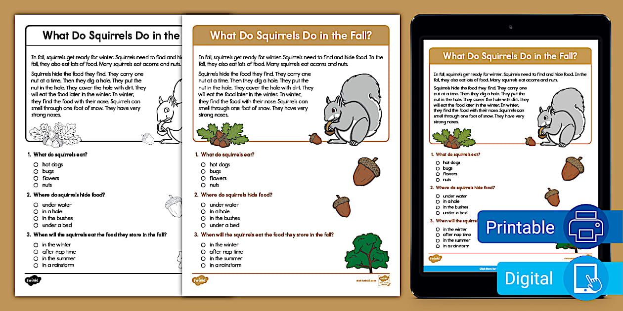 First Grade What Do Squirrels Do in the Fall? Reading Comprehension