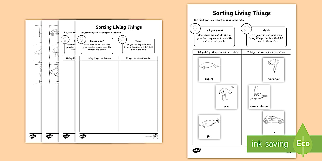 Sorting Living Things Worksheet (teacher made) - Twinkl