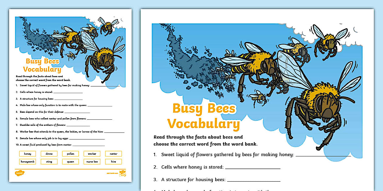 Busy Bees Vocabulary KS2 (professor feito) - Twinkl