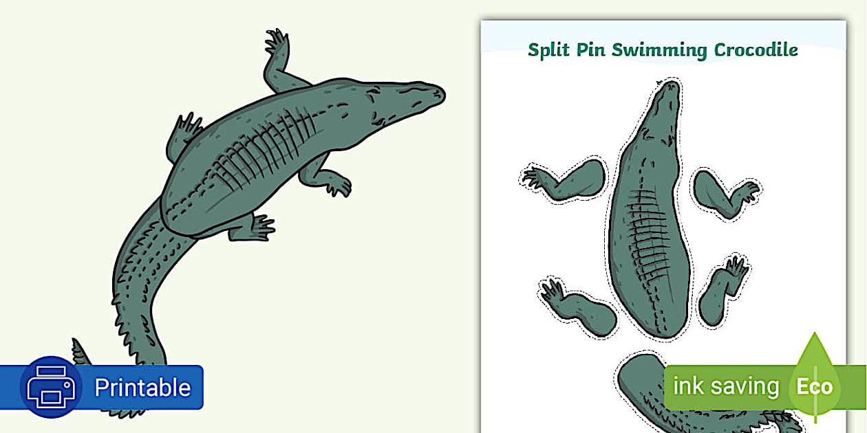 Grade R - Craft: Split Pin Swimming Crocodile (CAPS Aligned)