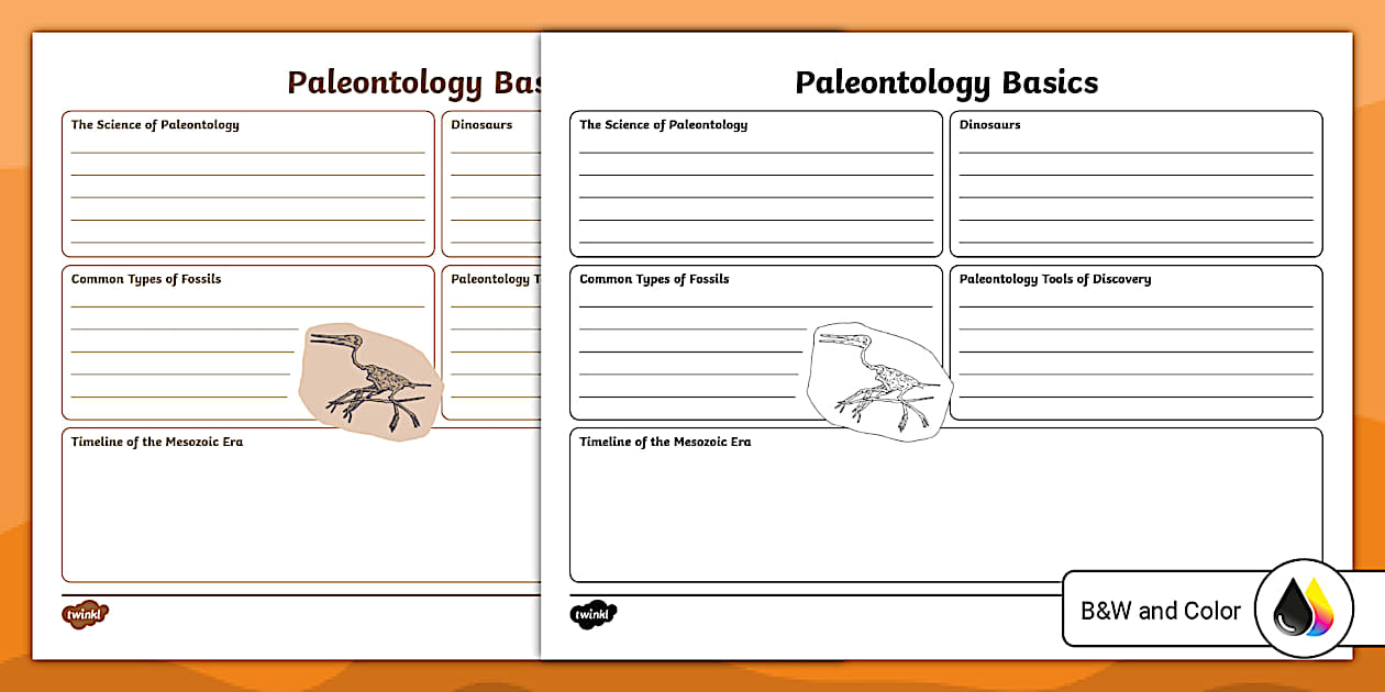 Paleontology Basics Graphic Organizer for 6th-8th Grade