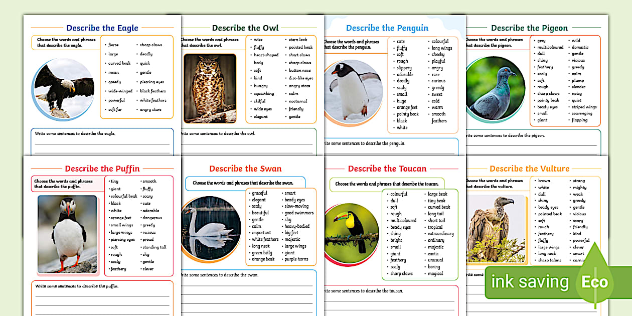 Describe the Birds Worksheet Pack (teacher made) - Twinkl