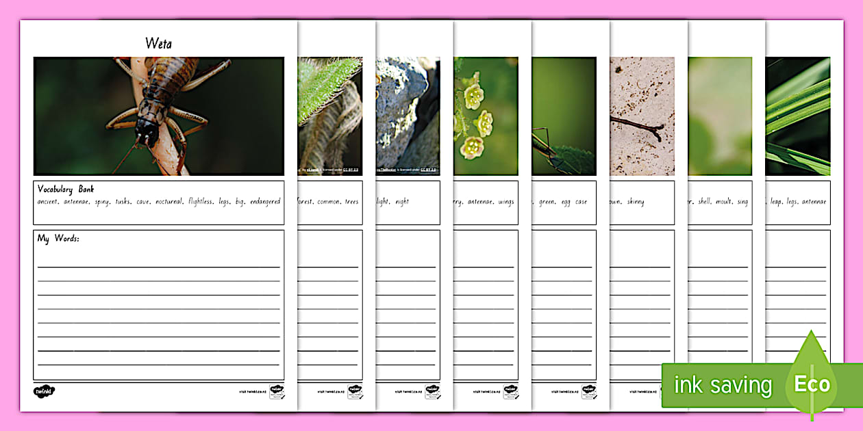 Visual Language Activities NZ Writing Prompts (teacher made)