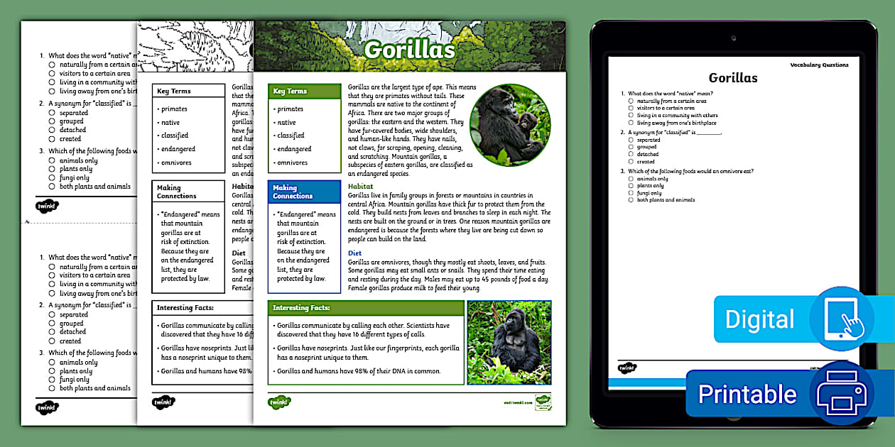 Fourth Grade Gorillas Fact File and Vocabulary Questions