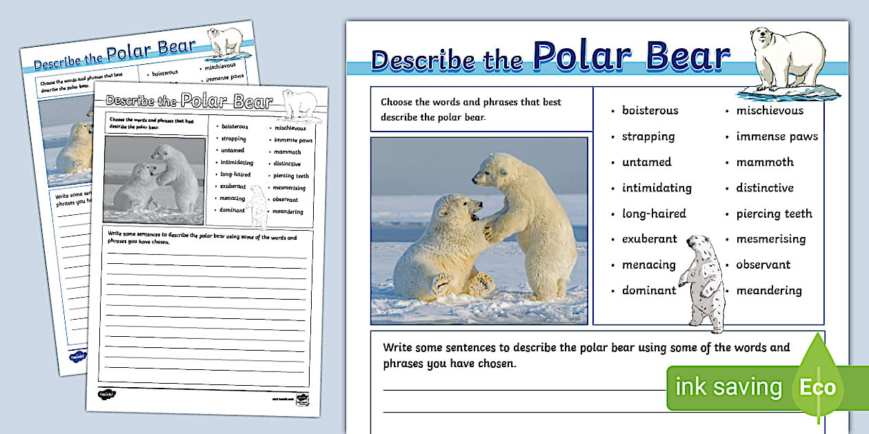 Describe a Polar Bear Worksheet,describe a polar bear, polar bears, polar