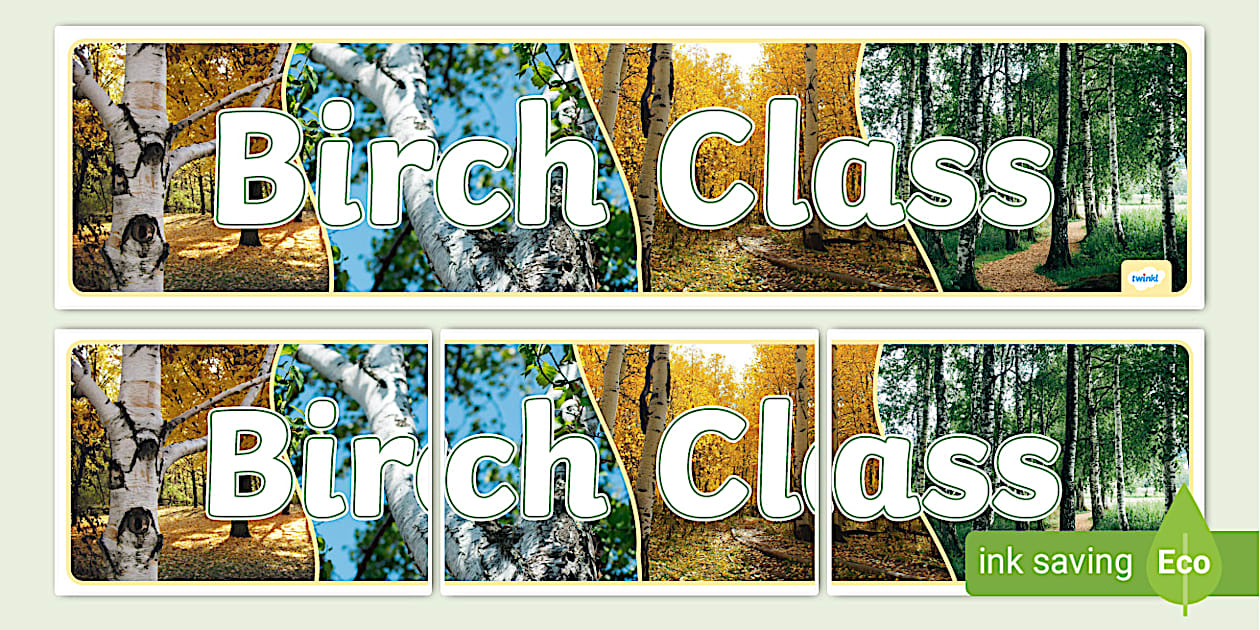 Birch Class Photo Display Banner (teacher made) - Twinkl