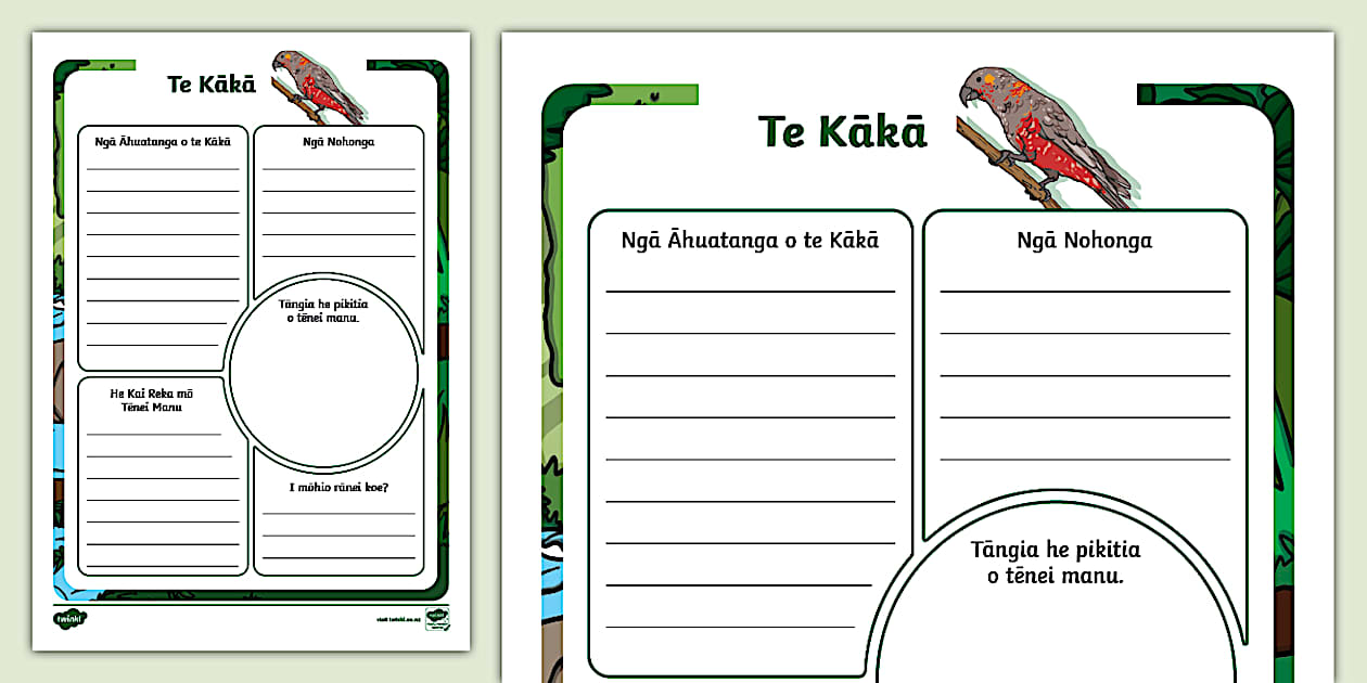 Te Kākā - He Tuhinga Pūrongo (Teacher-Made) - Twinkl