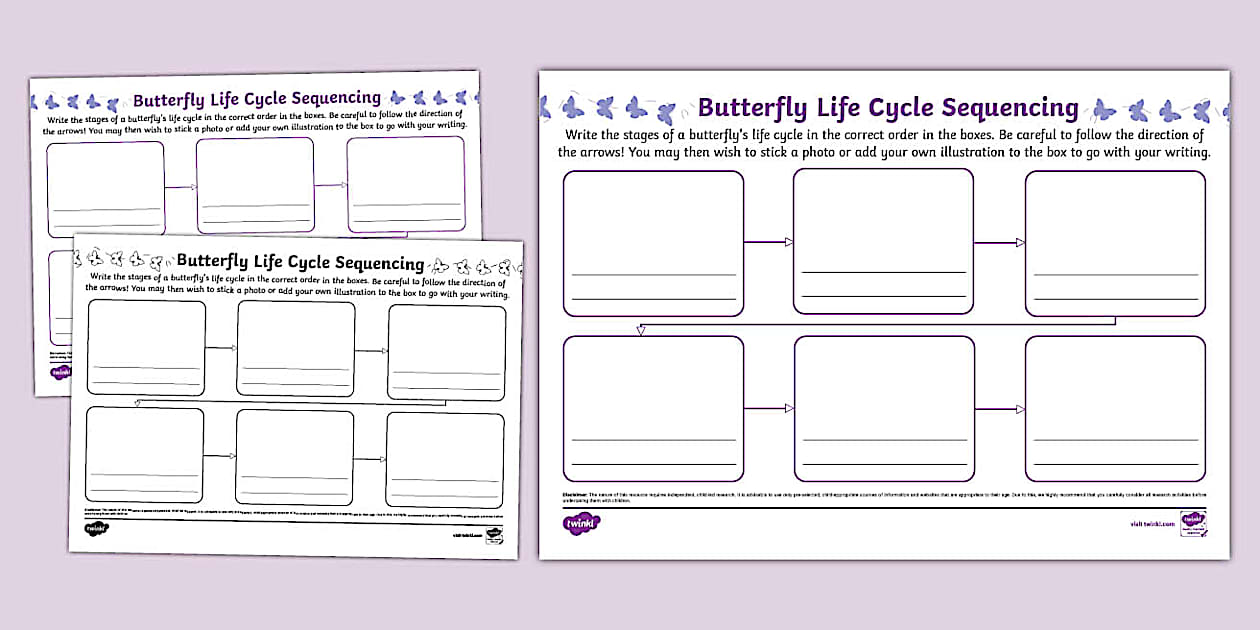 Butterfly Life Cycle Sequencing Mind Map (teacher made)