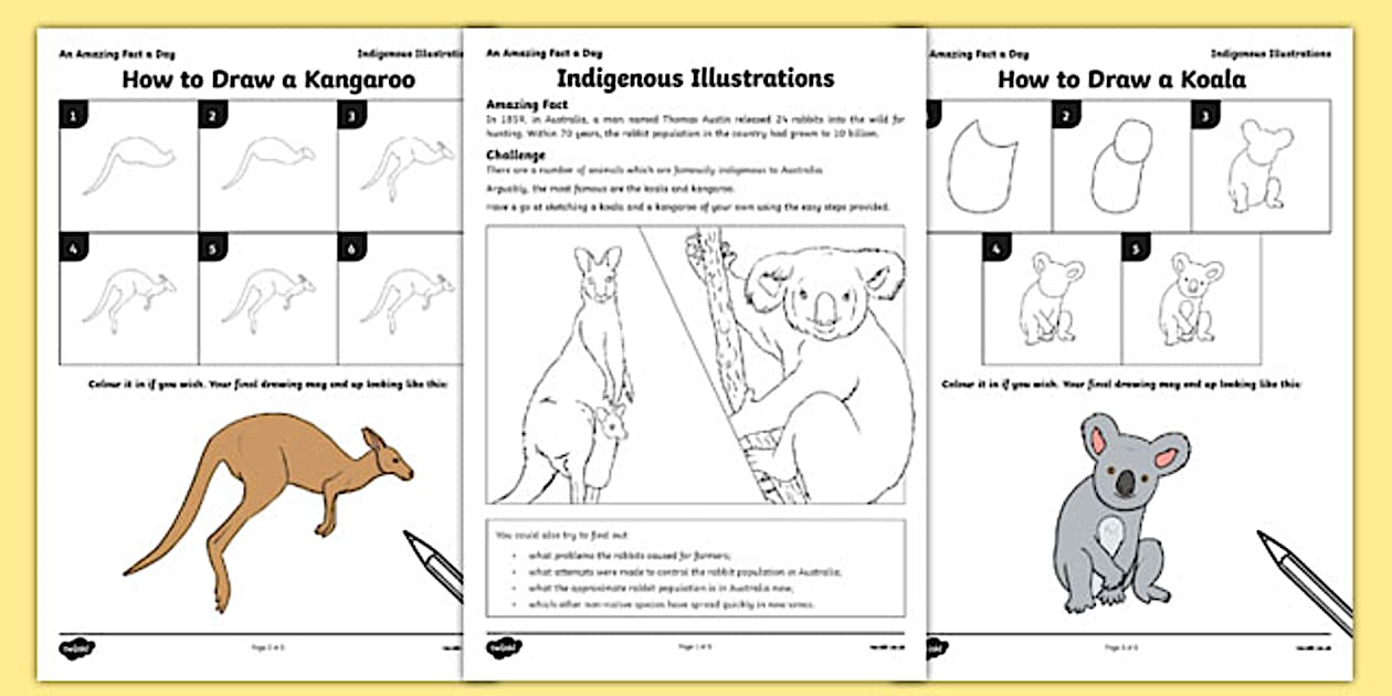 How to Draw a Kangaroo and Koala | Illustrations Worksheet