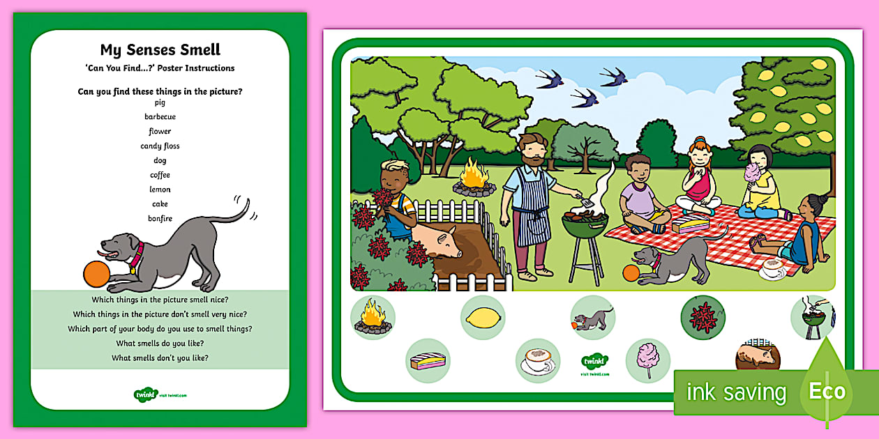 My Sense of Smell - Can you find? Poster (teacher made)