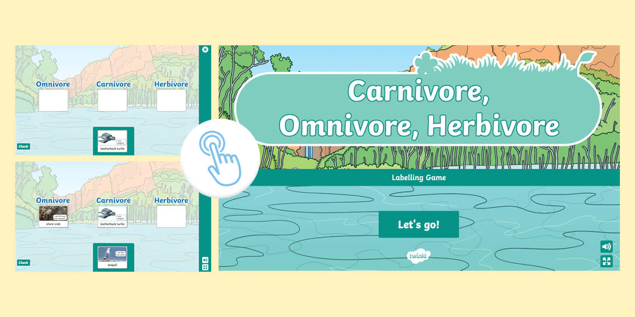Carnivore, Omnivore, Herbivore Labelling Game (teacher made)
