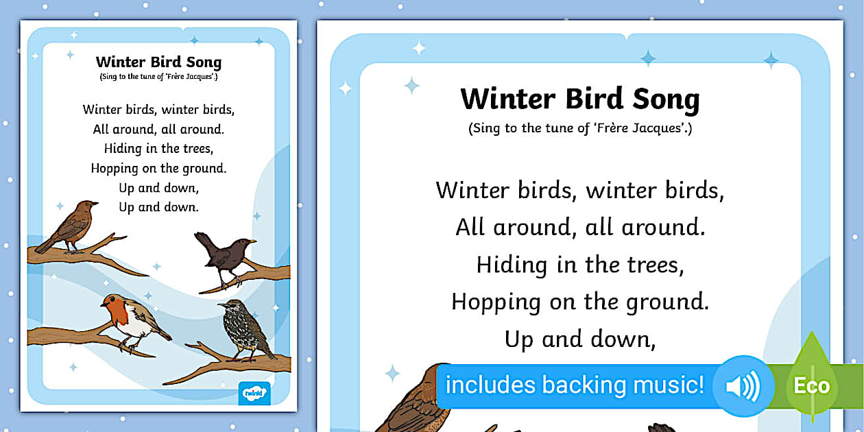 Winter Bird Song | Twinkl (Teacher-Made) - Twinkl