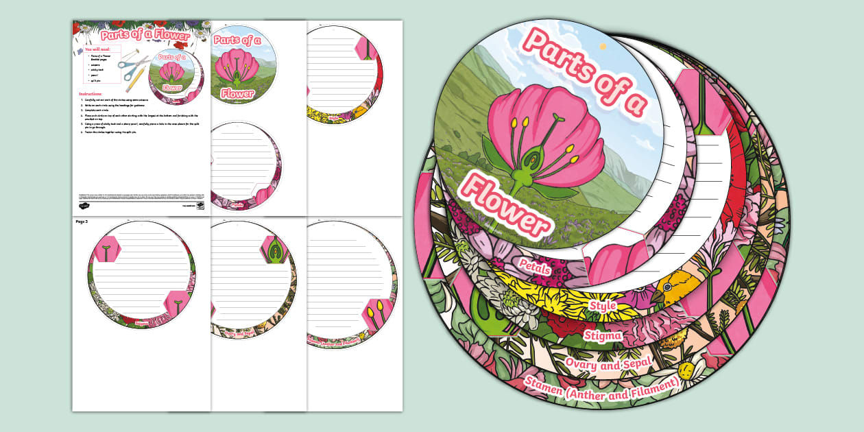 Parts of a Flower Circles Booklet - Twinkl