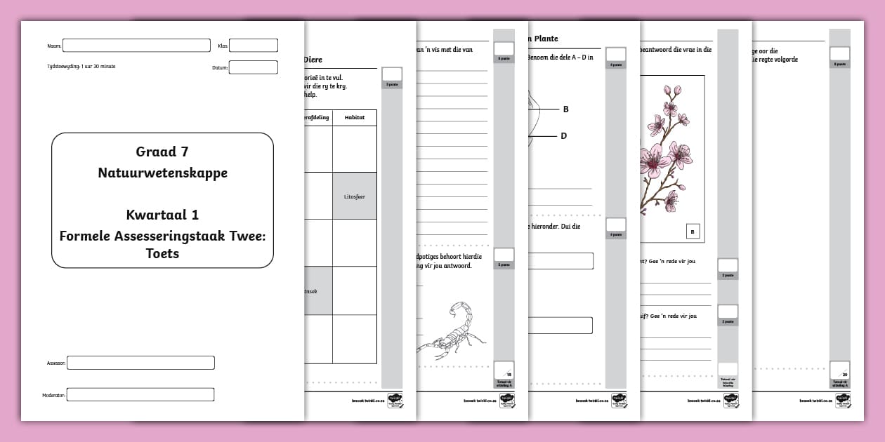 Graad 7 Natuurwetenskappe Kwartaal 1 Assessering - Twinkl